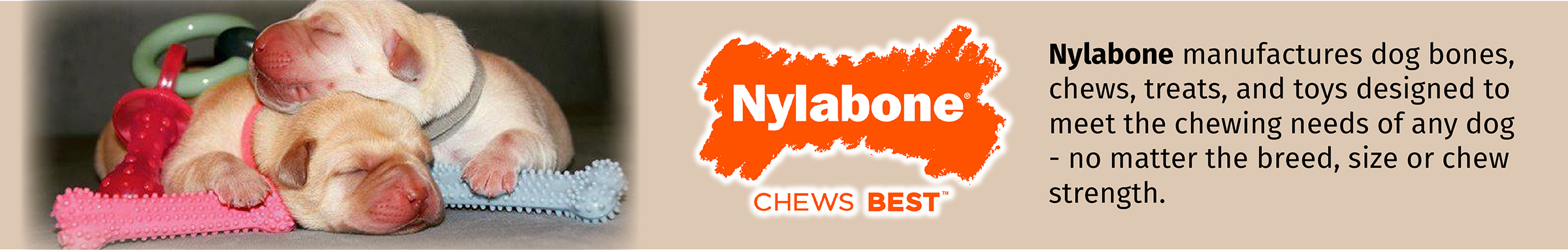 Featured Brands Nylabone