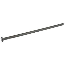 Bomgaars : Fas-N-Tite Bright Common Spike Nails : Common Nails