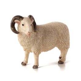 Bomgaars : Mojo Sheep (Ram) : Farm Animals
