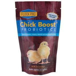 Bomgaars : Animal Health Solutions Chick Boost : Probiotics