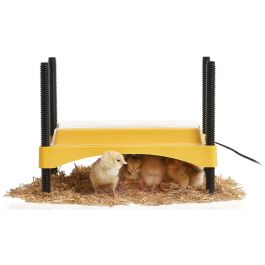 Bomgaars : Brinsea EcoGlow Safety 600 Chick Brooder : Brooders