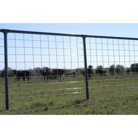 Cattle panels at tractor supply store