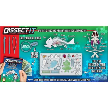 dissect frog toy