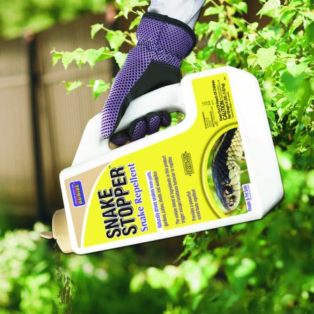 snake lizard repellent