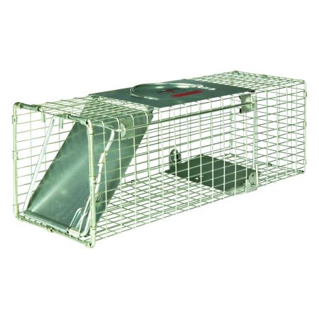 Bomgaars : Little Giant Single Door Live Animal Trap : Traps