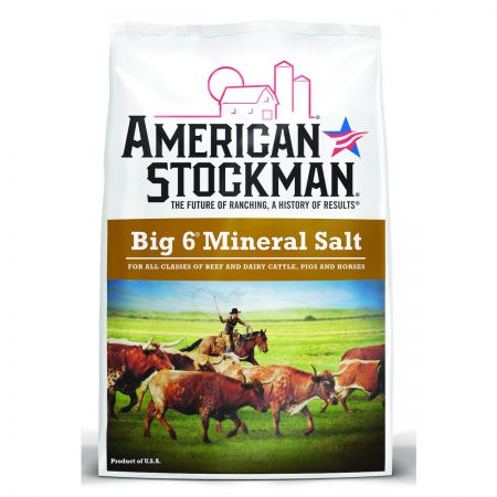 Bomgaars : American Stockman Big 6 Mineral Salt : Mineral Salts