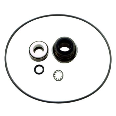 Bomgaars : Ace Pump Seal Assembly Kit, Viton/Carbon/Ceramic : Pump ...