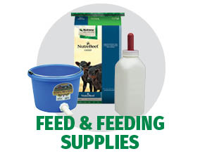Bom Marketing Calving Supplies