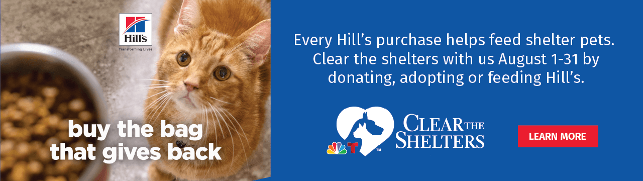 Featured Brands Science Diet