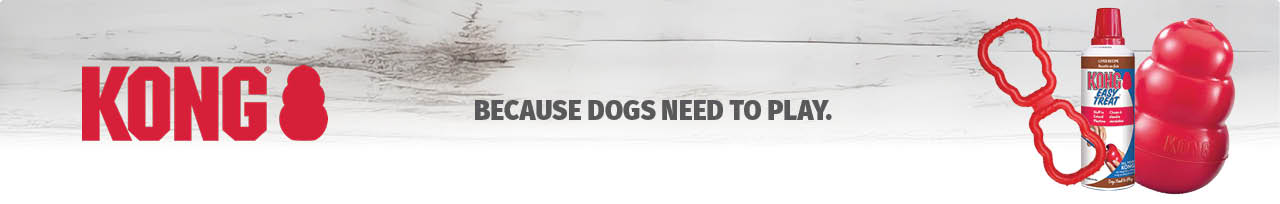 Featured Brands Kong