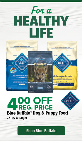 Bomgaars : UNBEETABLE FEEDS™ Forage Only Blend Feed : Horse Feed