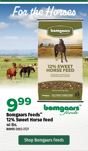 Weekly Flyer | Bomgaars