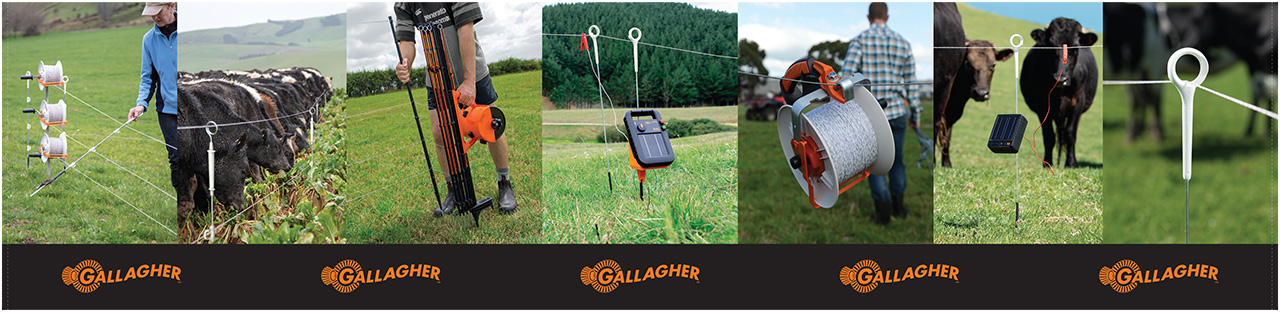 Weekly Flyer | Bomgaars