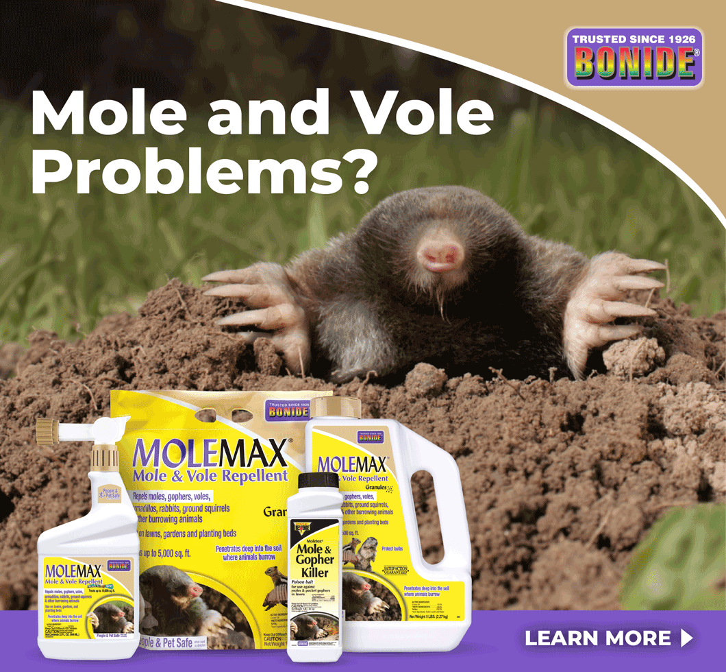 Weekly Flyer | Bomgaars